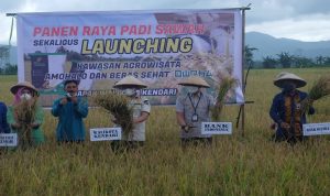 Mengenal Maskot HPN 2022 Sultra – topiksultra.com